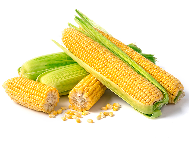 Homepage - Minbaladeh.world