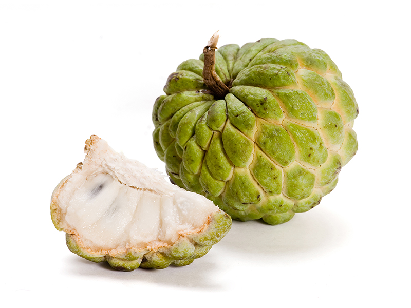 Homepage - Minbaladeh.world