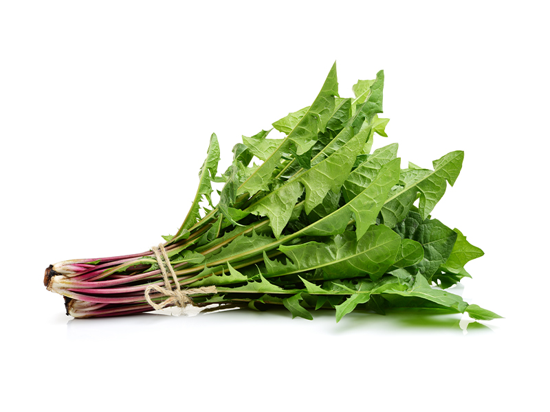 Dandelion - Hindbeh | Pack of 1kg - Minbaladeh.world