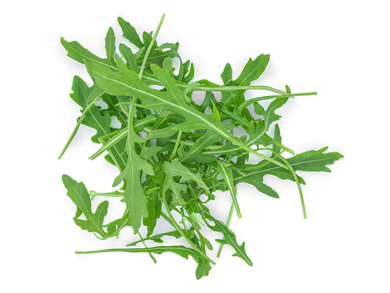 Lettuce Rucola | Pack of 125g - Minbaladeh.world