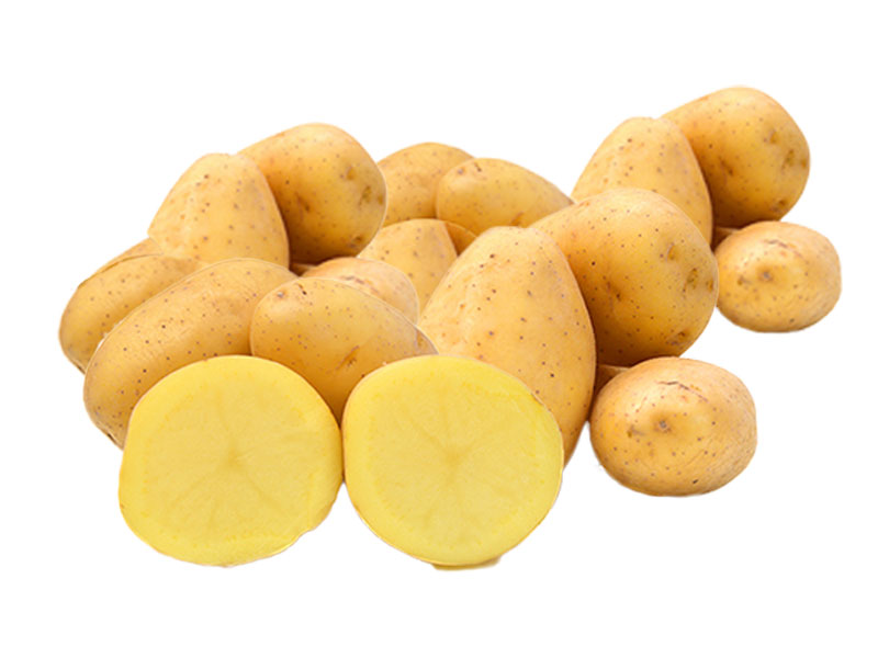 Potato Agria - French Fries | Pack of 4kg - Minbaladeh.world