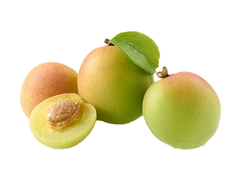 Green apricot store