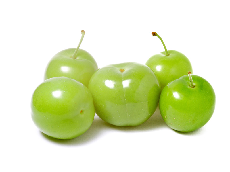 Janerik - Lebanese Green | Minbaladeh - Minbaladeh.world